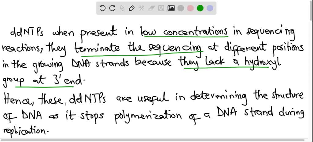 Solved What Is The Function Of A Ddntp In Dna Sequencing Terminate Polynucleotide Elongation
