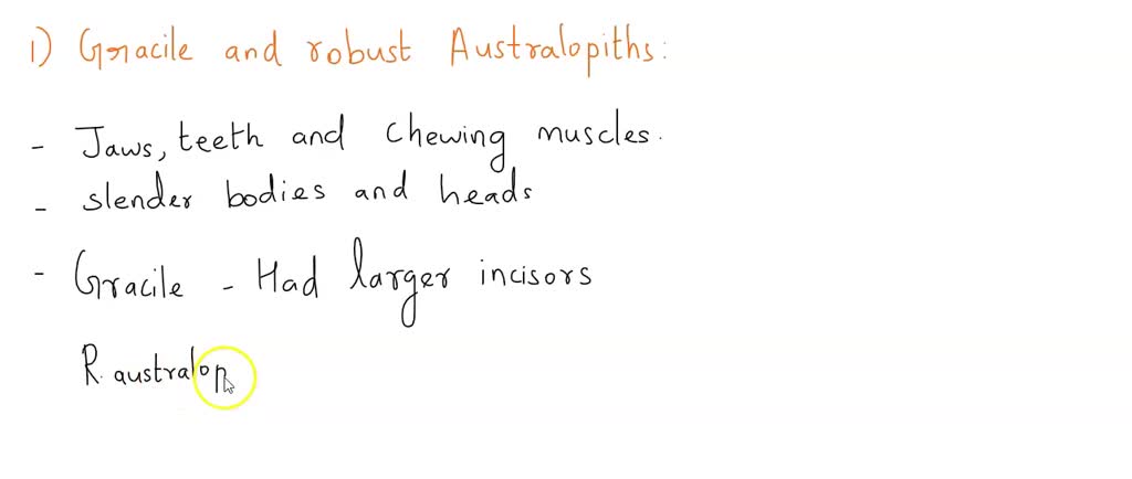 SOLVED: What are the major differences between gracile and robust ...