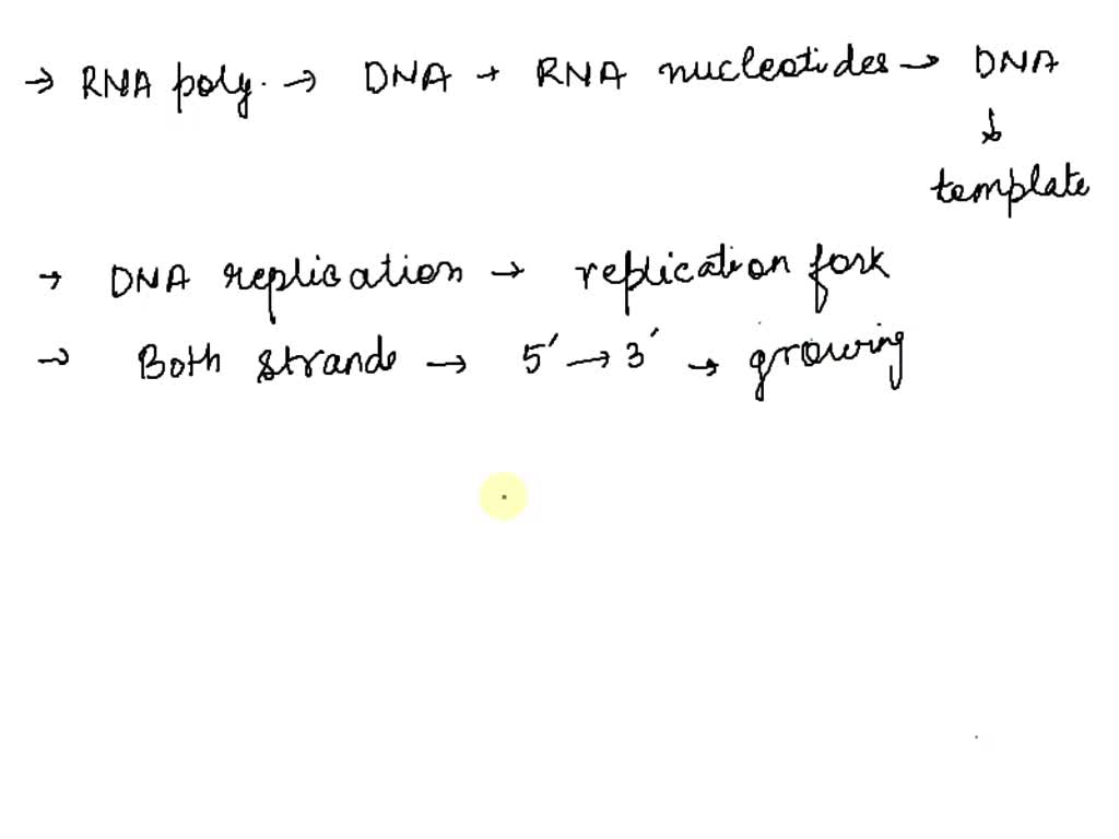 SOLVED: The correct answer is: the lagging strand is built in segments
