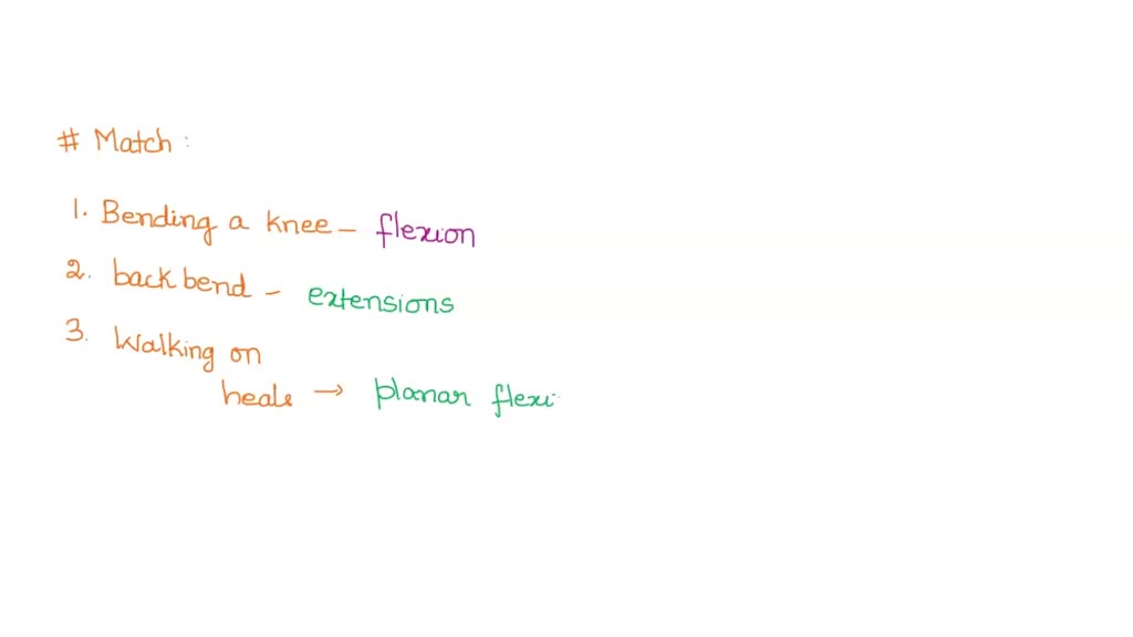 SOLVED: Match each of the joint movements with the correct example ...