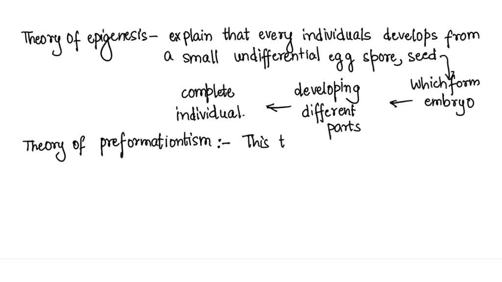 SOLVED: When the early cleavage sea urchin embryo is cut into two. The ...