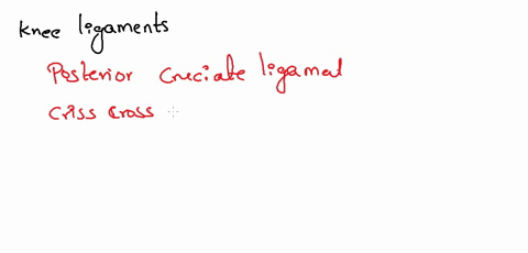 Medial meniscus Fibular collateral ligament Antenor cruciate ligament ...