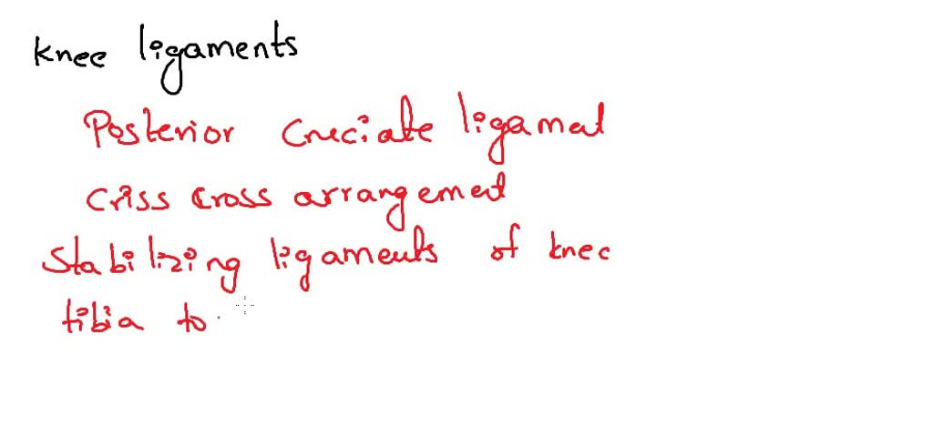 SOLVED: Select all the knee ligaments that are deep to the articular capsule, and prevent ...