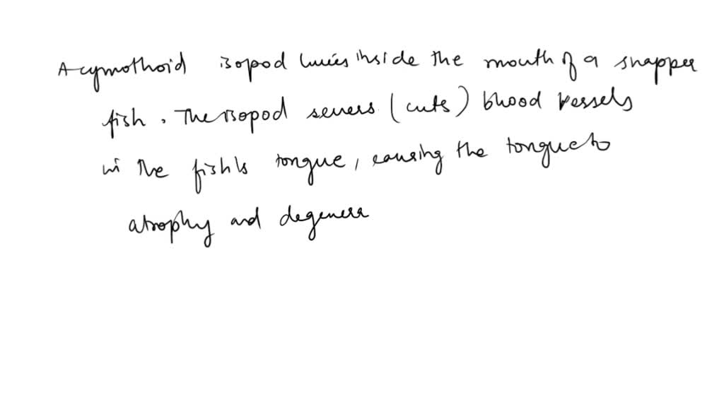 SOLVED: A cymothoid isopod lives inside the mouth of a snapper fish ...
