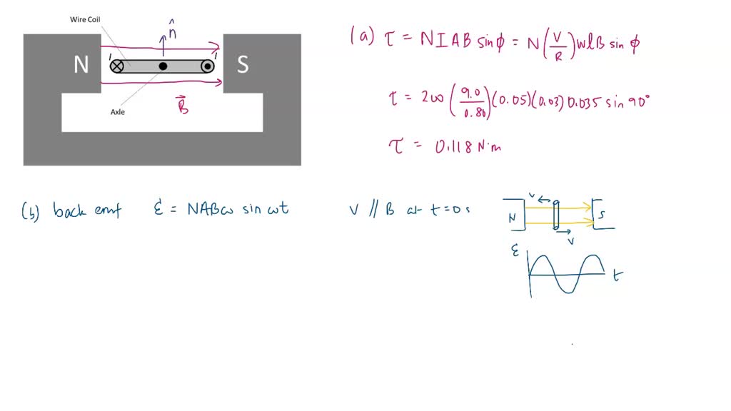 SOLVED: A simple motor consists of . rectangular coil of wire held on ...