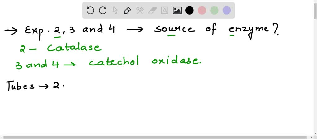 In Experiments 2, 3, and 4, what is the source of the enzyme? Catalase and Catechol oxidase. In ...