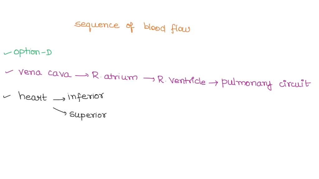 SOLVED: Dorsal aorta Systemic arches Carotid duct Ductus anteriosus ...