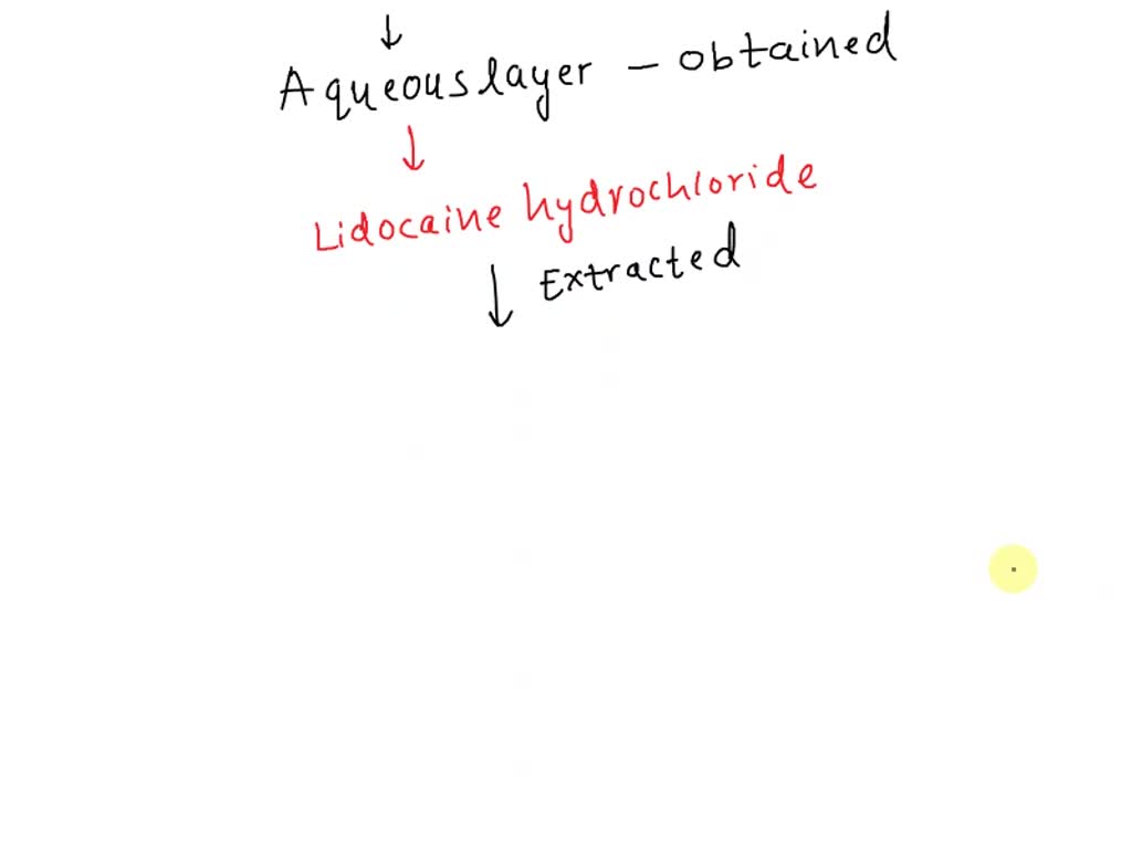 Solved While Completing The Extraction Scheme For Lidocaine What