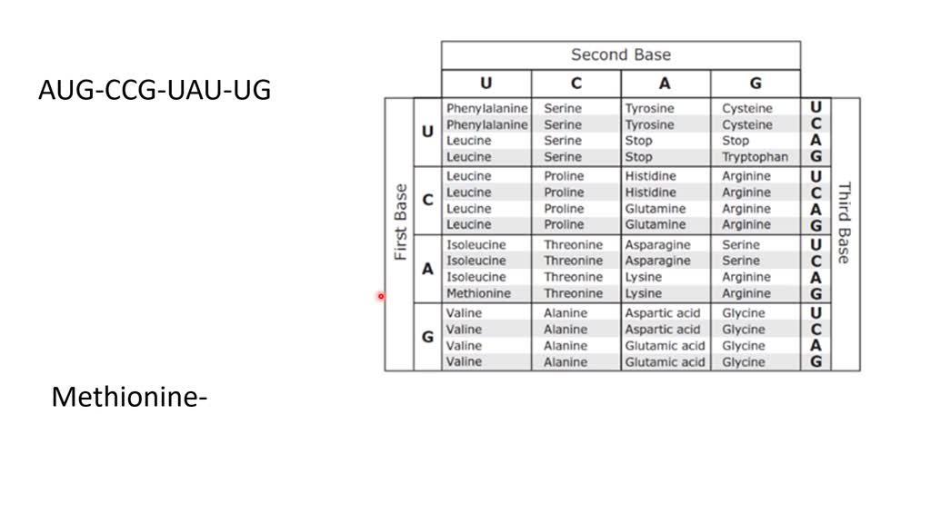 SOLVED: In a framcshift mutation; one or morc nucleotide bases of the ...