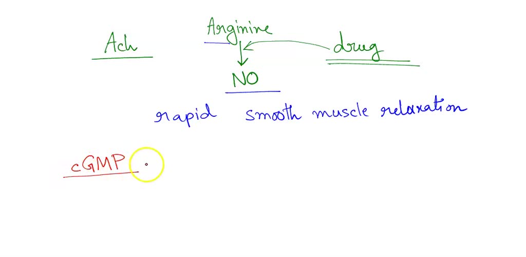 SOLVED: The figure (Figure = 2) below shows the muscle relaxation ...