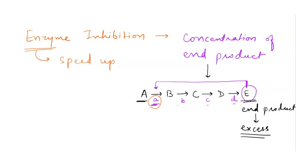 SOLVED: ChSa: definitions: catabolism, anabolism, metabolism, metabolic ...