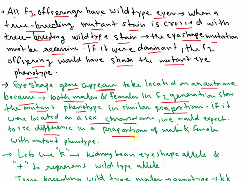 a true breeding mutant strain of drosophila has a mutant eye phenotype ...