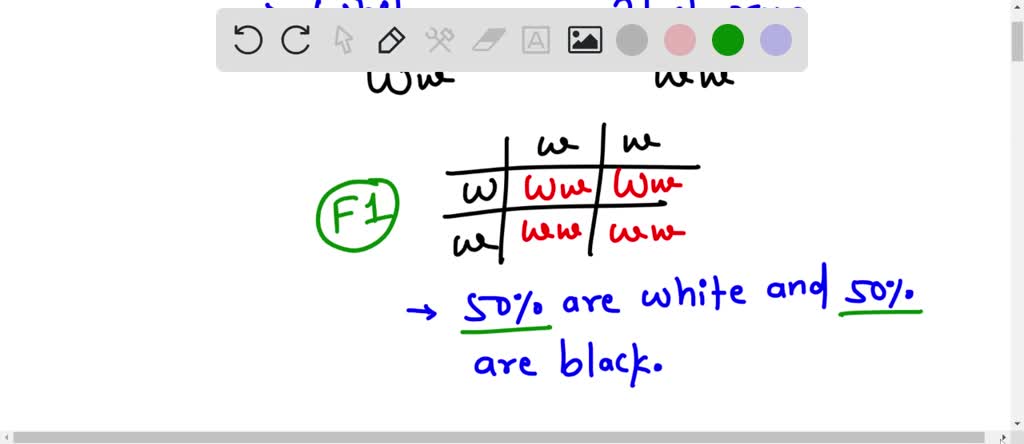 SOLVED: Monohybrid Cross: Draw the Punnett square for a cross between a ...