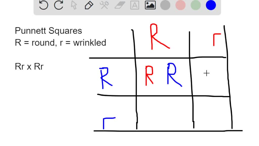 SOLVED: In pea plants, the allele for round seed shape, R, is ...