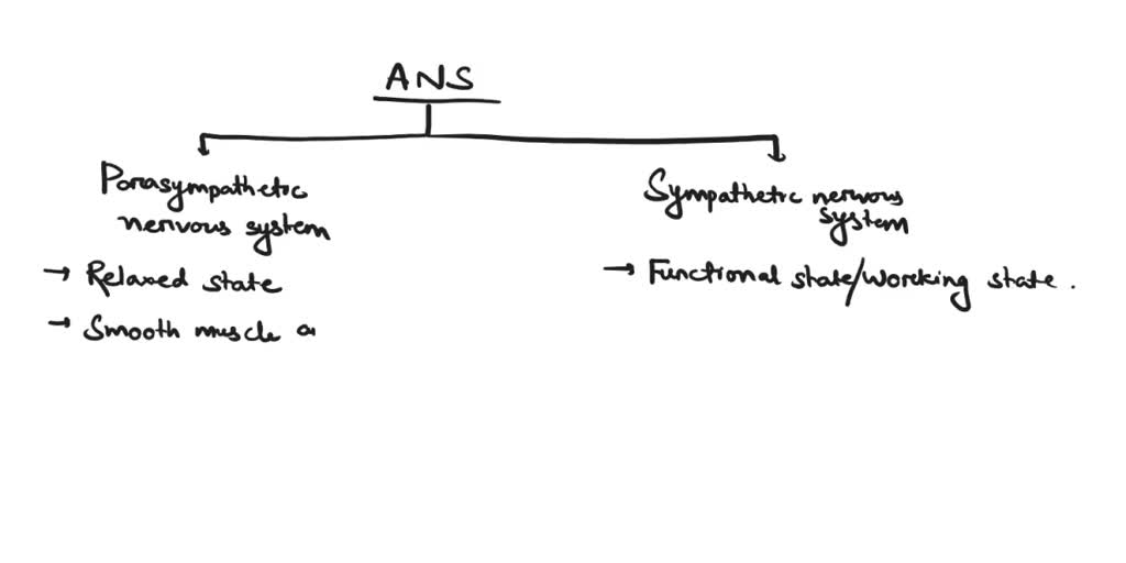 SOLVED: The somatic nervous system controls: Question 35 options ... SOLVED: The somatic nervous system controls: Question 35 options ...
