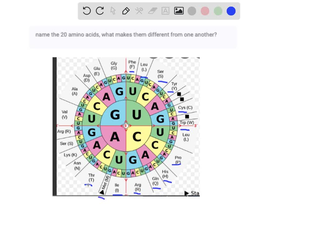 SOLVED: Write out 20 Amino Acids. Their Names and Structures SOLVED: Write out 20 Amino Acids. Their Names and Structures