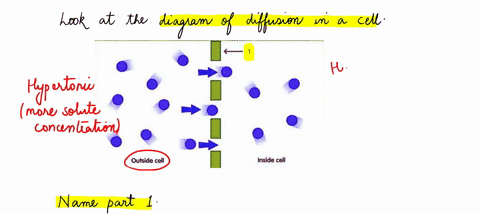 i need help im so close to passing look at the diagram of diffusion in ...