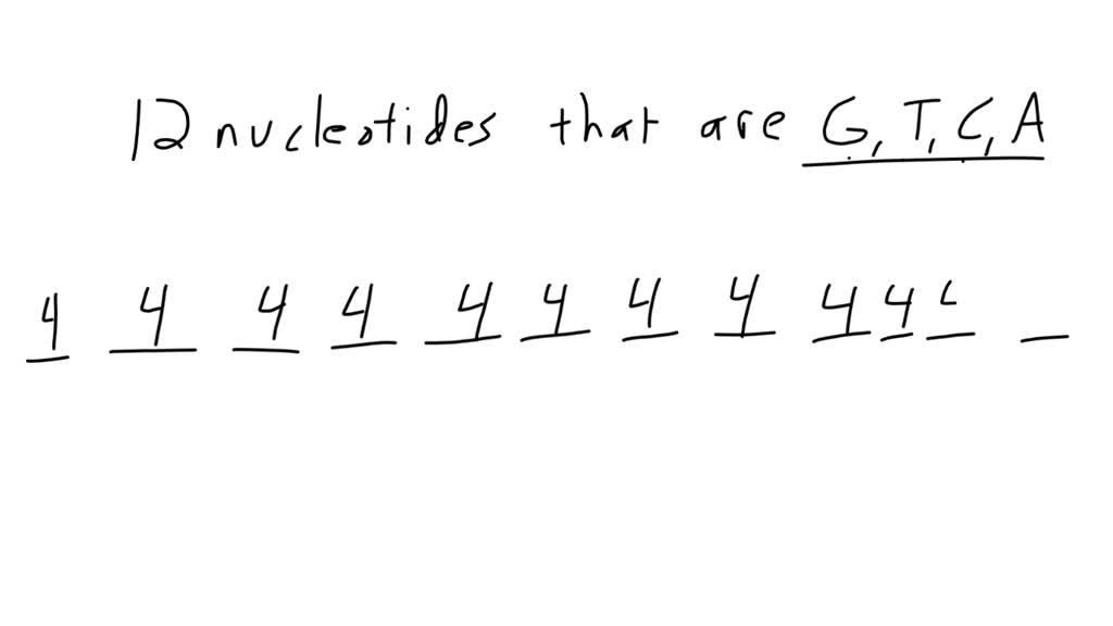 SOLVED: A DNA sequence consists of a string of elements called nucleotides, in a defined order ...