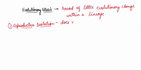 Evclutionary stasis within a lineage is the result of long...