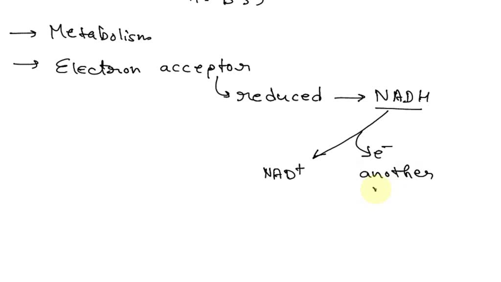 SOLVED: The reduction of NAD+ produces a. acetyl CoA. b. pyruvate. c ...