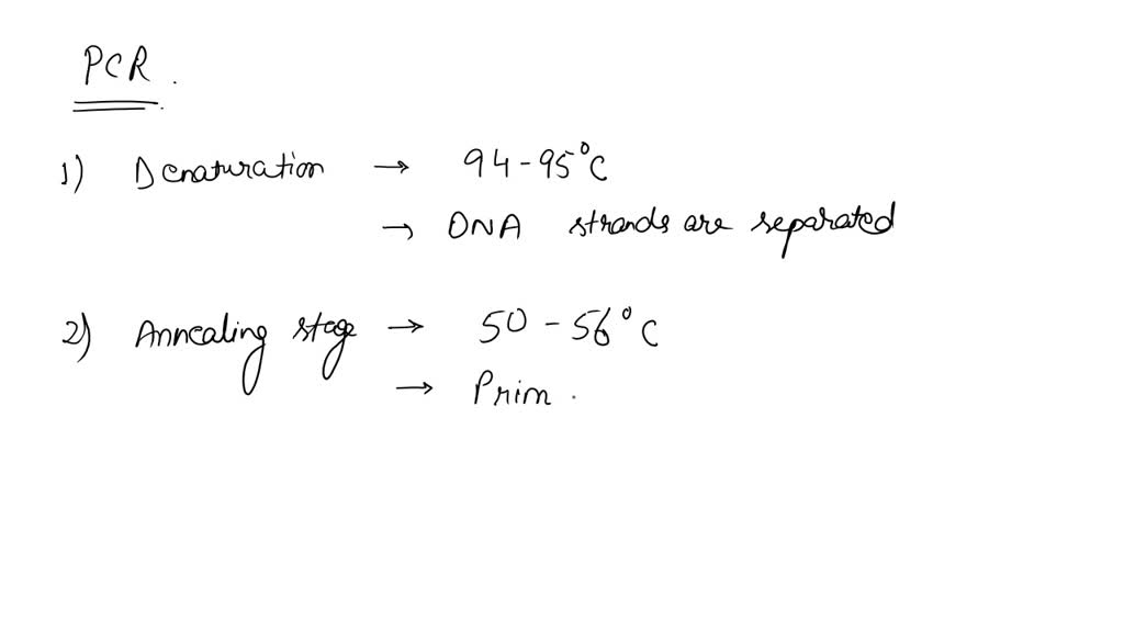 SOLVED: What happens during the annealing step in PCR? - The two DNA ...
