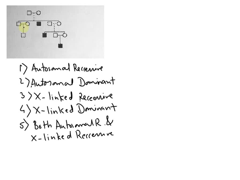 SOLVED: This pedigree could be explained by which of the following modes of inheritance? 1 ...