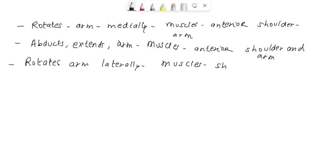 SOLVED: Lateral rotation of arm Subscapularis Latissimus Dorsi Anterior ...