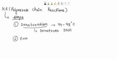 Differentiate between a pcr cycle and step and define the...