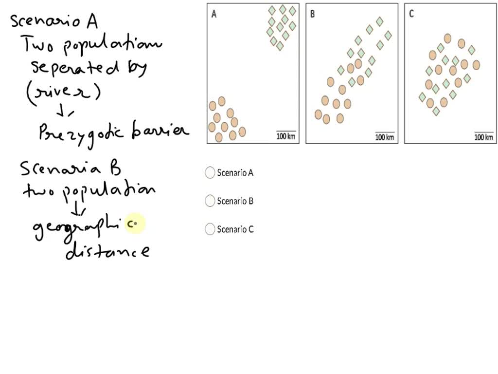 SOLVED: Each figure below shows two populations of the same species that can currently ...