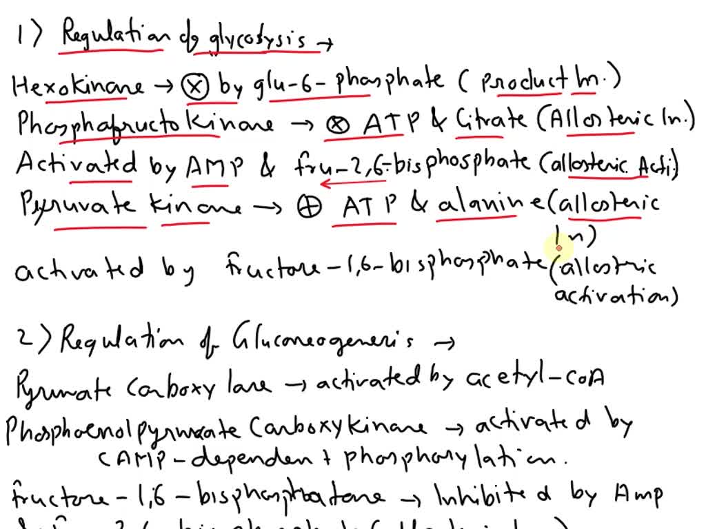 SOLVED: Regulation of Glycolysis To the Bloodstream Regulation of ...
