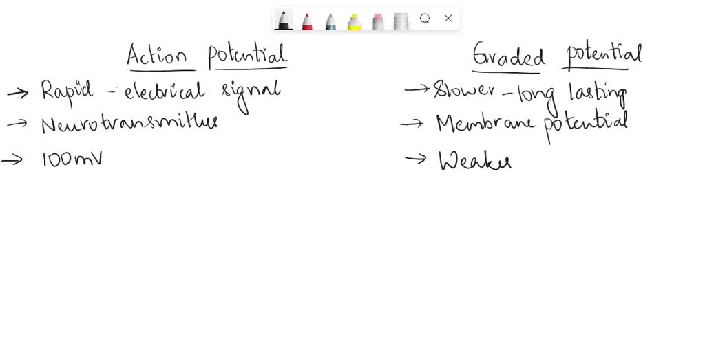 SOLVED: Describe the difference between an action potential and a ...