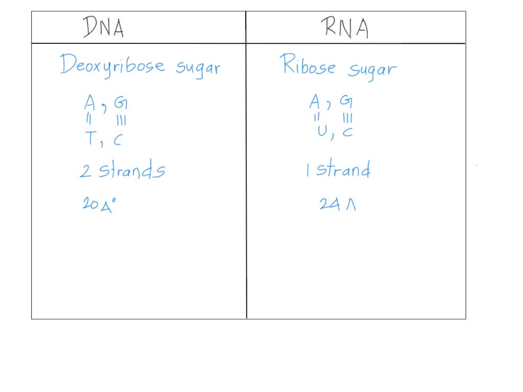 Solved Fill In The Table Below To Illustrate The Similarities And