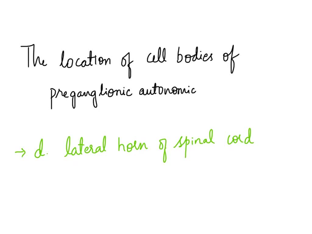 SOLVED: The cell bodies of preganglionic autonomic neurons are located ...