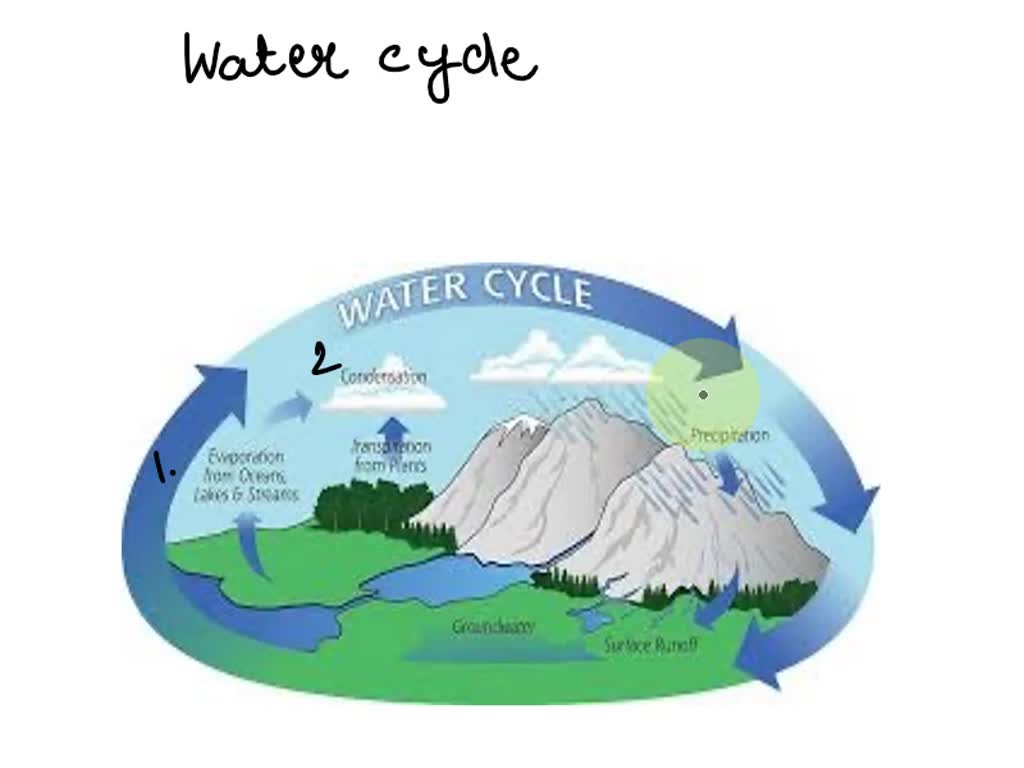 SOLVED: How does radiant heat from the Sun affect the water cycle? A ...