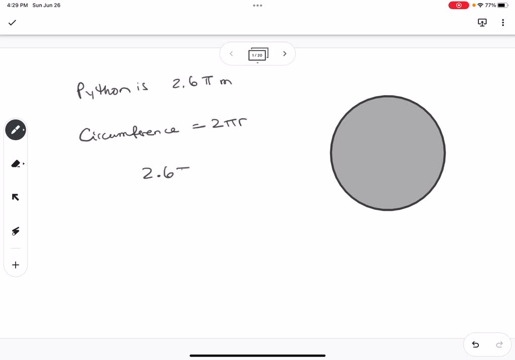 A python curls up to touch the tip of its own tail with its nose ...