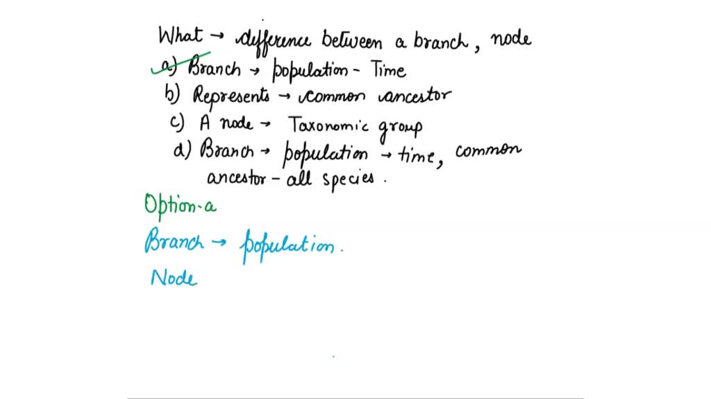 Difference between live node and e node and dead node in branch and bound