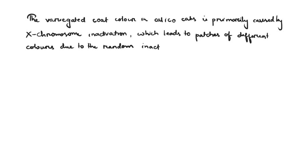 SOLVED: Calico coat pattern in cats is the result of Question 12 ...