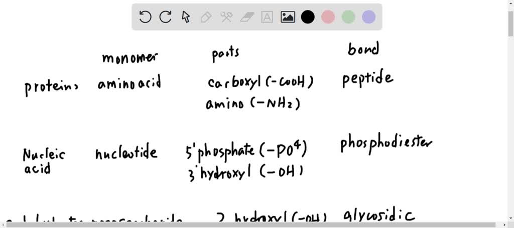 SOLVED: Four main classes of macromolecules: 1. Proteins - Name of ...