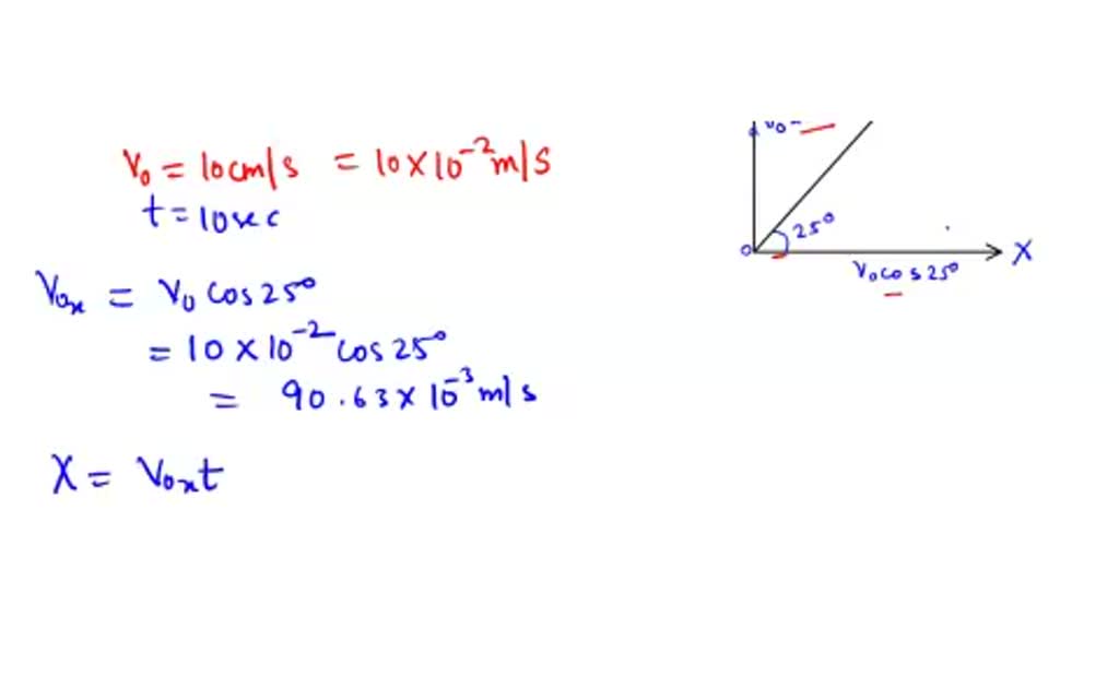 SOLVED: A turtle starts at the origin and moves with the speed of v0=10 ...