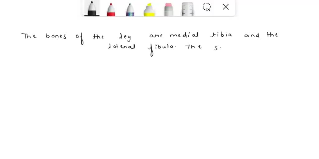 SOLVED: please fill in the correct blanks 1.Patella 2.Articular facet 3.Head of fibula 4.Lateral ...