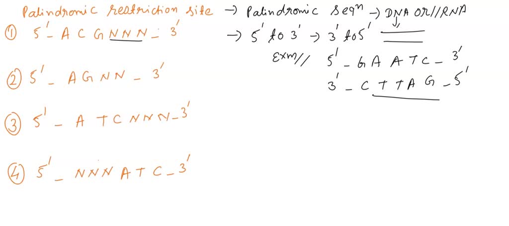 SOLVED: Question 6 2 pts Below is given half of a palindromic ... SOLVED: Question 6 2 pts Below is given half of a palindromic ...