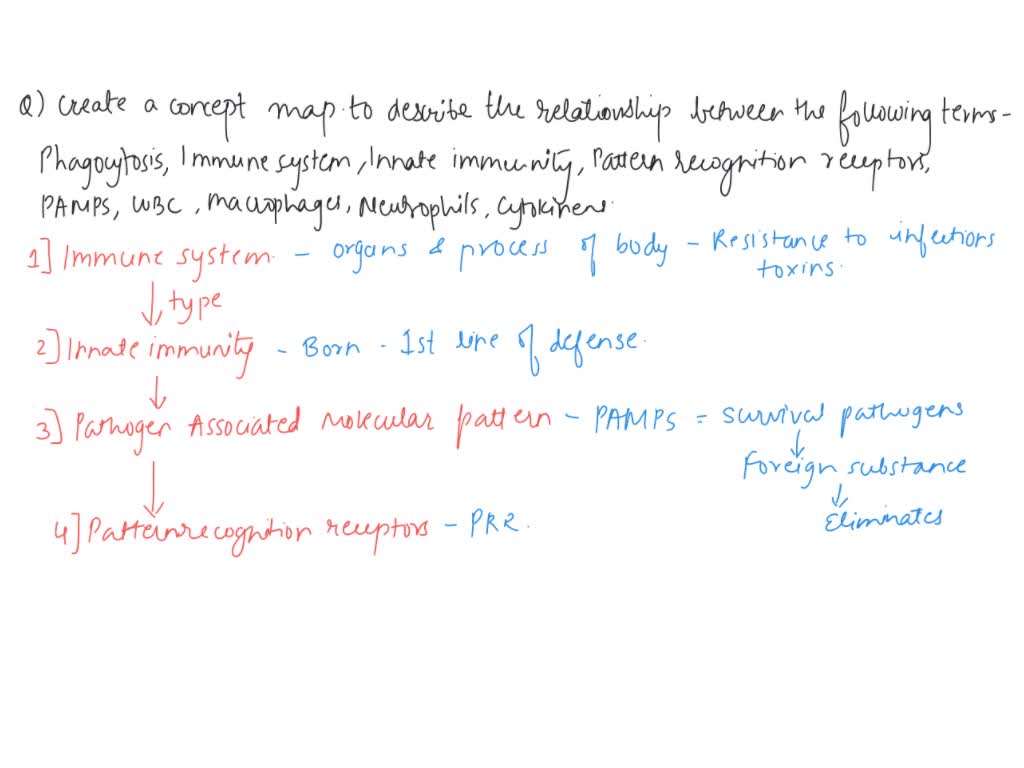 SOLVED Using The Following Terms Create One Concept Map Illustrating solved-using-the-following-terms-create-one-concept-map-illustrating