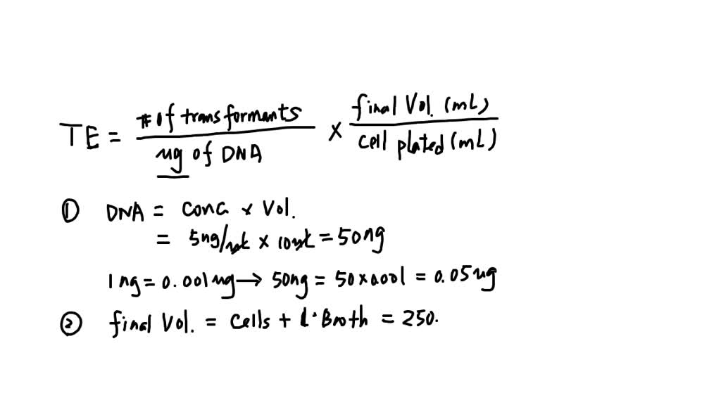 SOLVED: Calculate the transformation efficiency of the following experiment using the ...