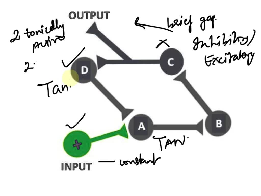 SOLVED: Consider the neural circuit below composed of four neurons ...