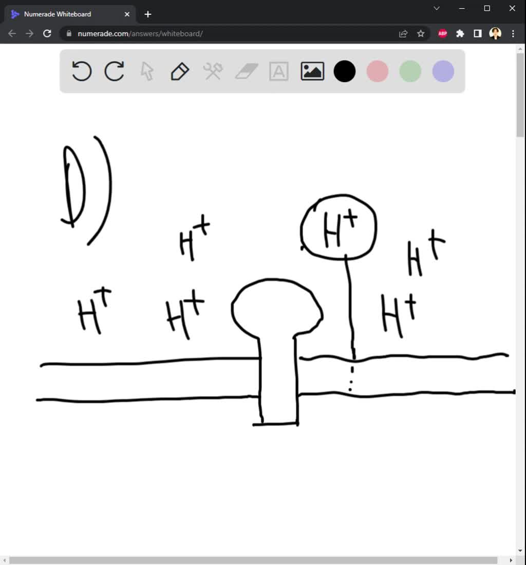 SOLVED:Problem 5 (28 points) Based on the binding-change model for ATP ...