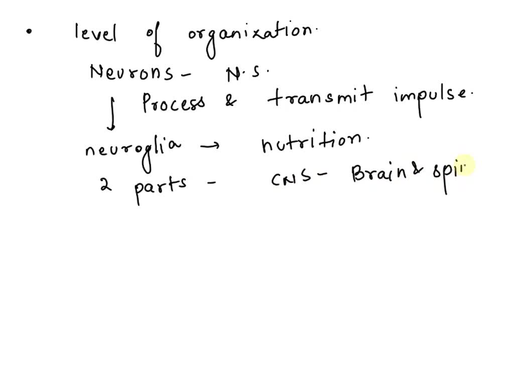 SOLVED: Organize the parts of this body system in the CORRECT order according to the levels of ...