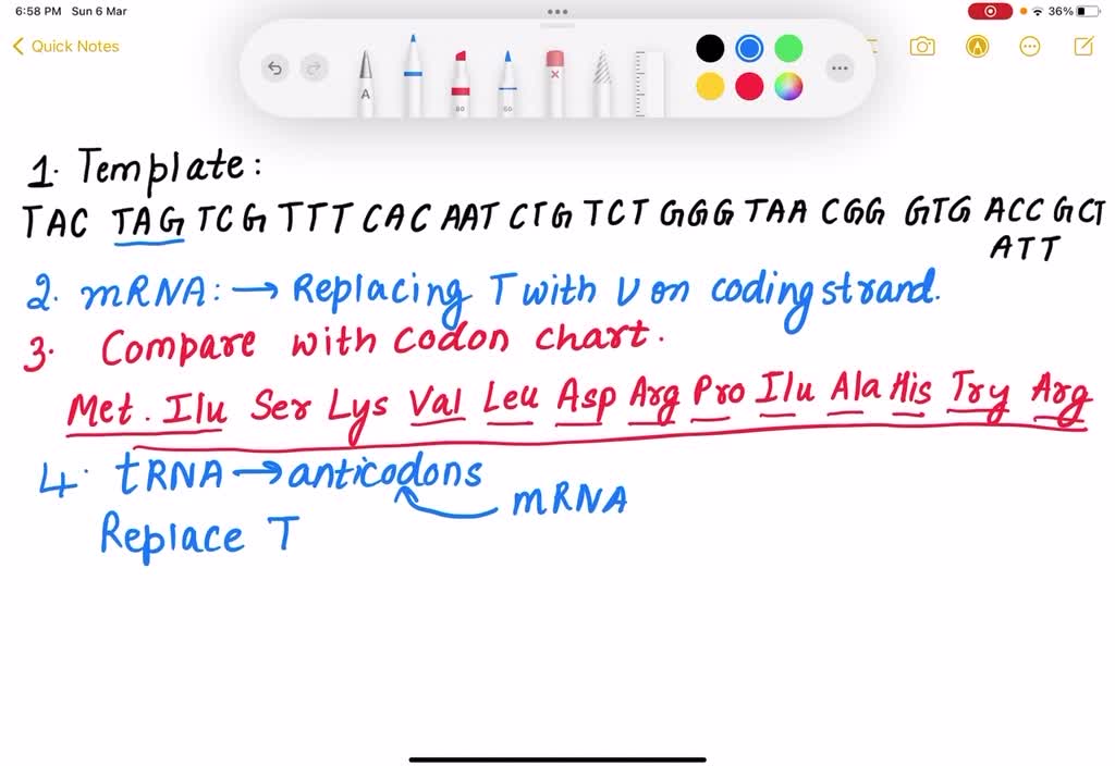 SOLVED: Here is coding sequence of DNA: Coding ATG ATC AGC AAA GTG TTA ...