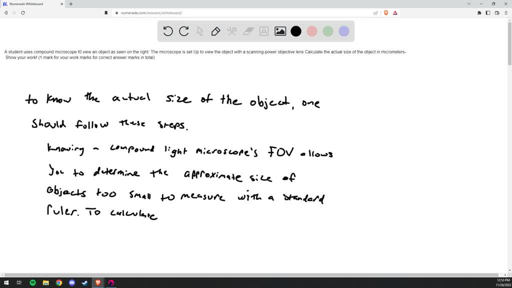 SOLVED: EXERCISE 3: Microscopy 12. Examine the following field of view ...