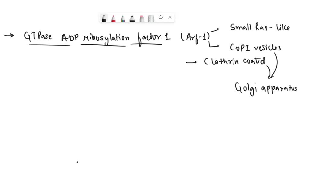 SOLVED: Compare and contrast COPI, COPII, and Clathrin coated vesicles ...