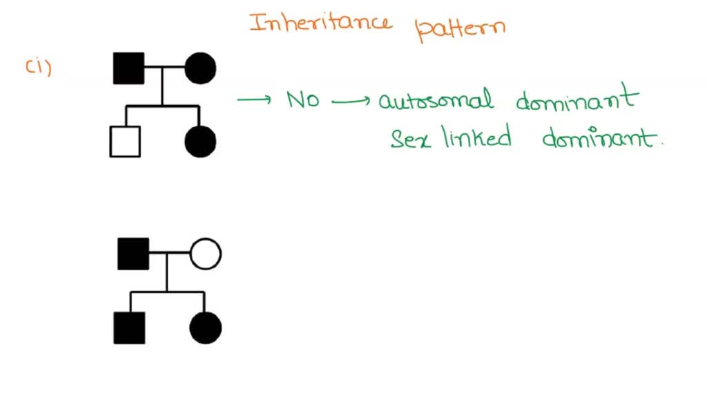 SOLVED: 'Is the inheritance pattern indicated by the shaded symbols in ... SOLVED: 'Is the inheritance pattern indicated by the shaded symbols in ...